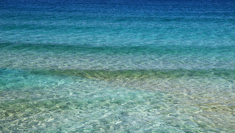 Our Clean Waves - Clean Wave Energy